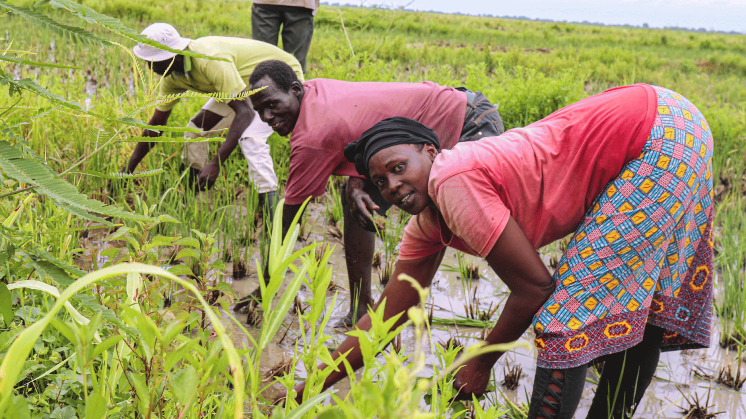 Farmers Empowerment at the Heart of Global Nutrition – Farming First ...
