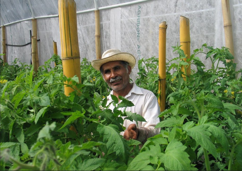 AgriFoodTech Can Empower Smallholder Farmers in Latin America – Farming ...